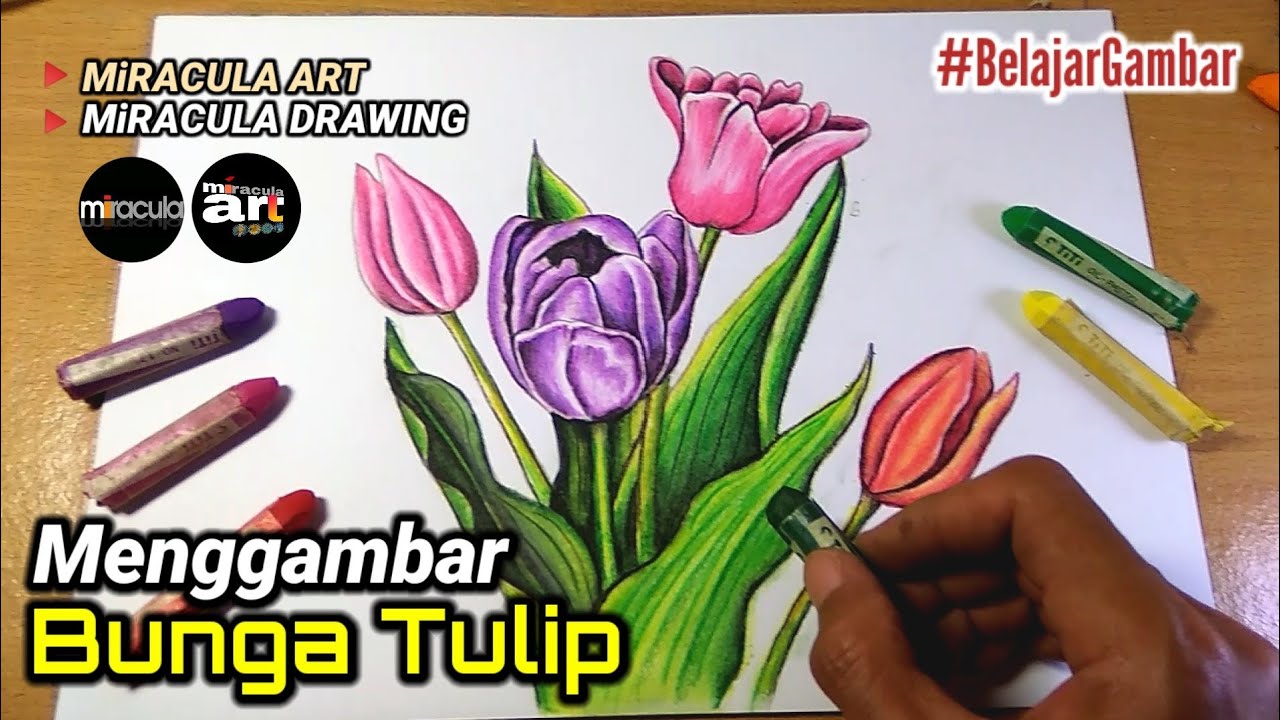 Cara Menggambar Bunga Tulip dengan Krayon Step by Step - YouTube