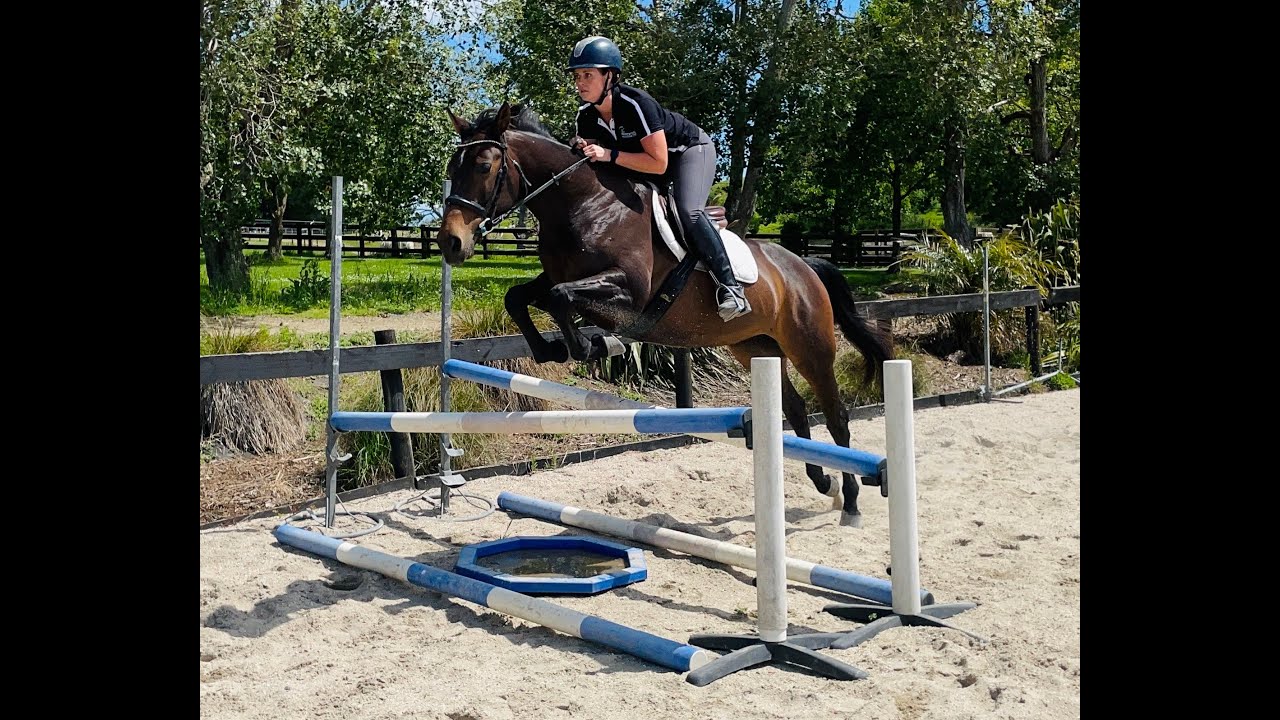 Wisdom Sienna - YouTube