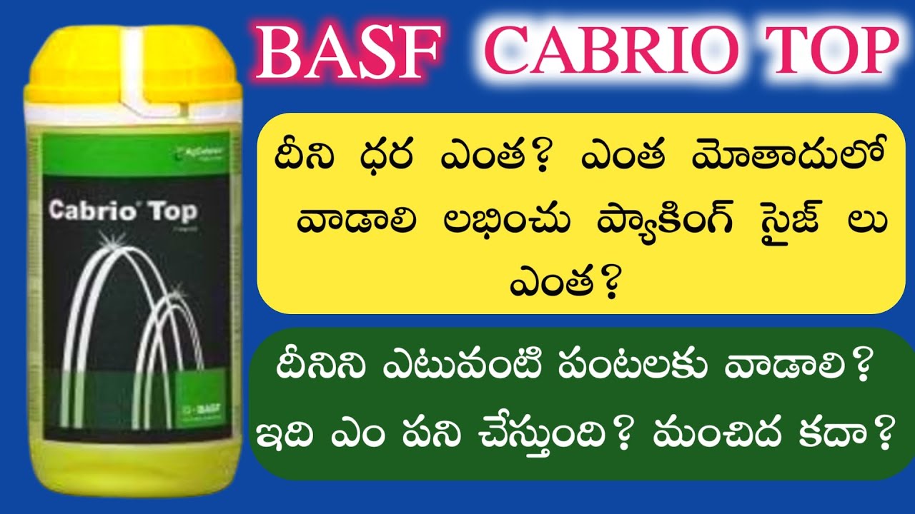 Basf Cabrio Top Fungicide Telugu Cabrio Top Fungicide Price Basf basf-cabrio-top-fungicide-telugu-cabrio-top-fungicide-price-basf