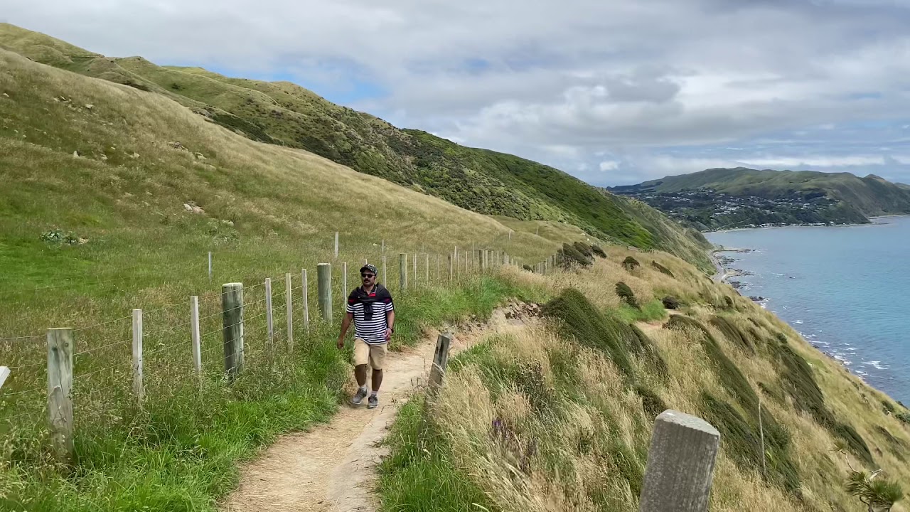 Paekakariki Escarpment Track - YouTube