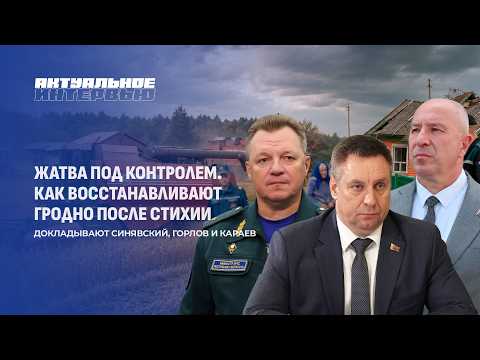 Ход уборочной кампании | Прогнозы на урожай | Ликвидация последствий непогоды. Актуальное интервью