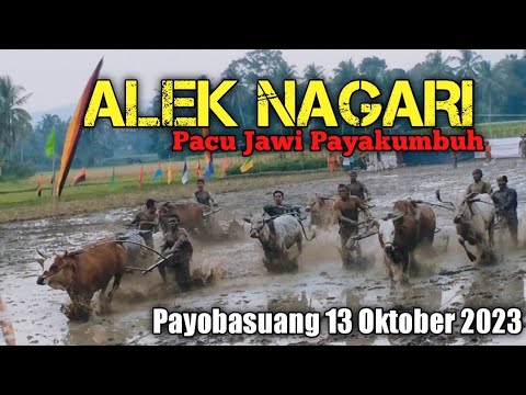 PACU JAWI PAYAKUMBUH - BUDAYA MINANGKABAU - YouTube