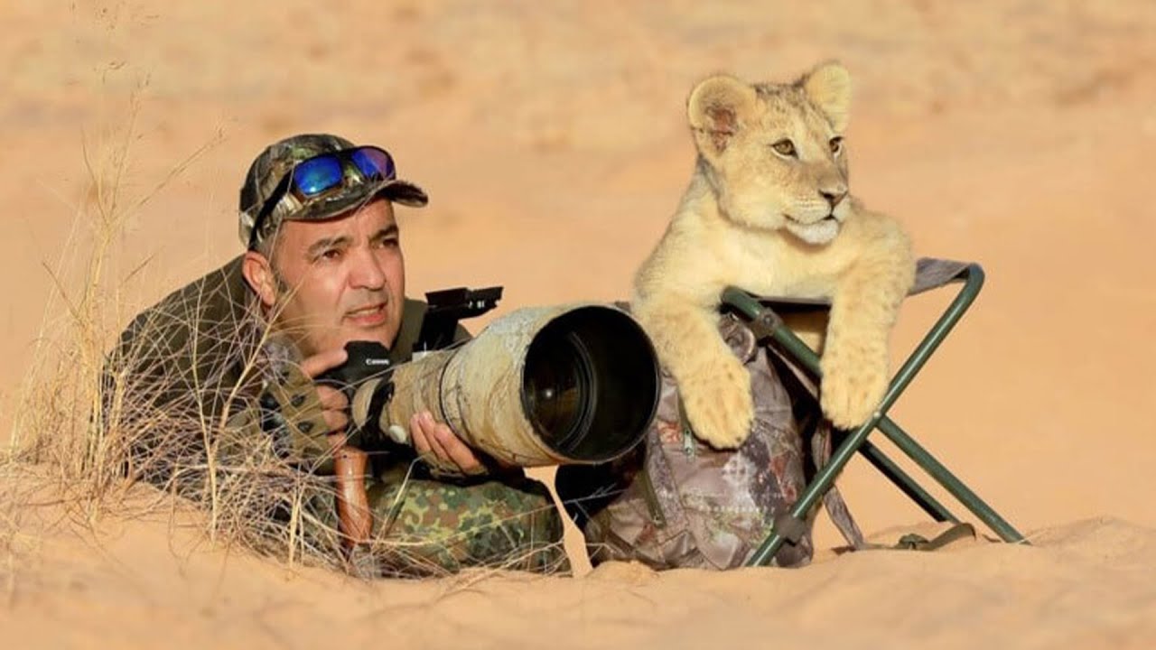 Wild Animal Surprised Photographers in An Unexpected Way - YouTube