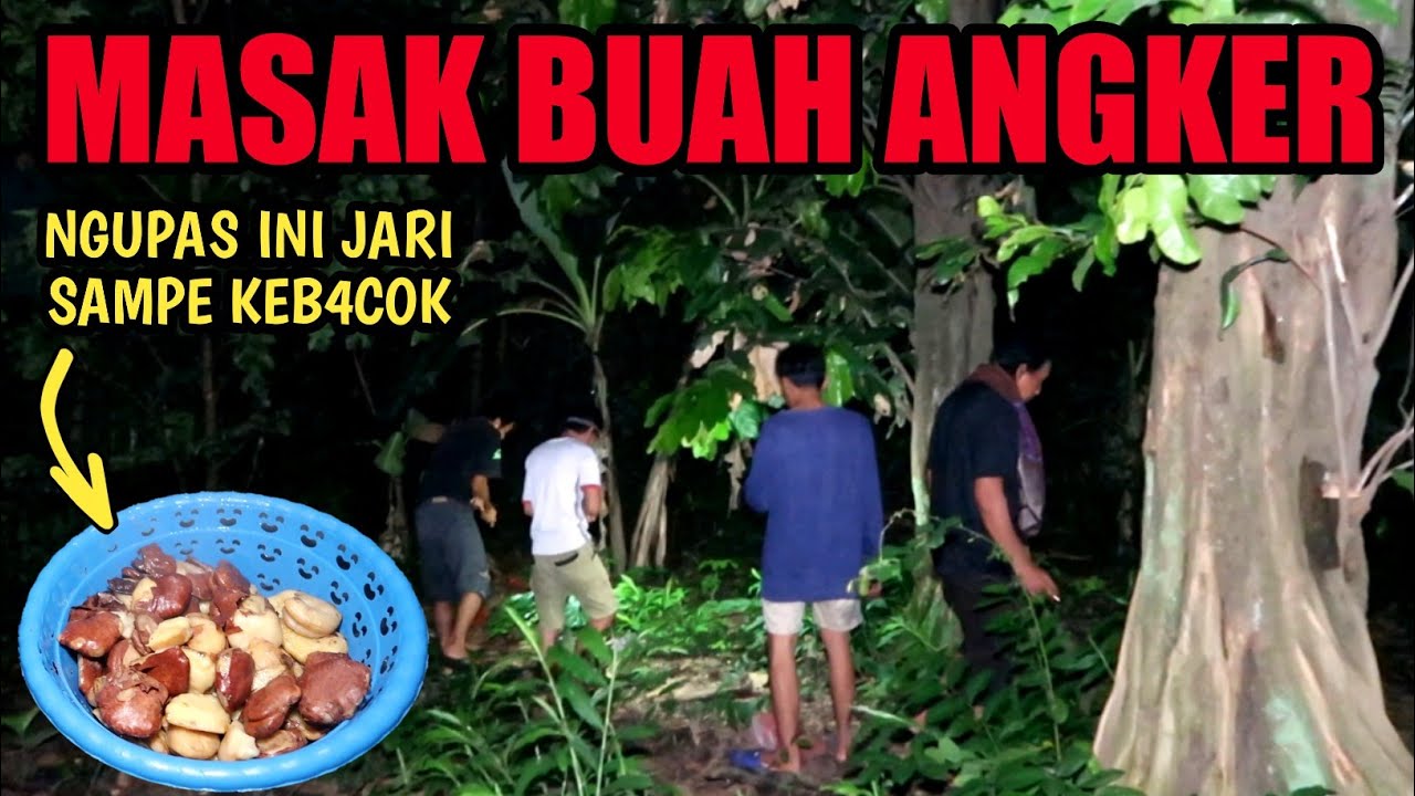 PENUH PERJUANGAN UNTUK MEMASAK DAN MENIKMATI BUAH GAYAM dari pohon yang ...