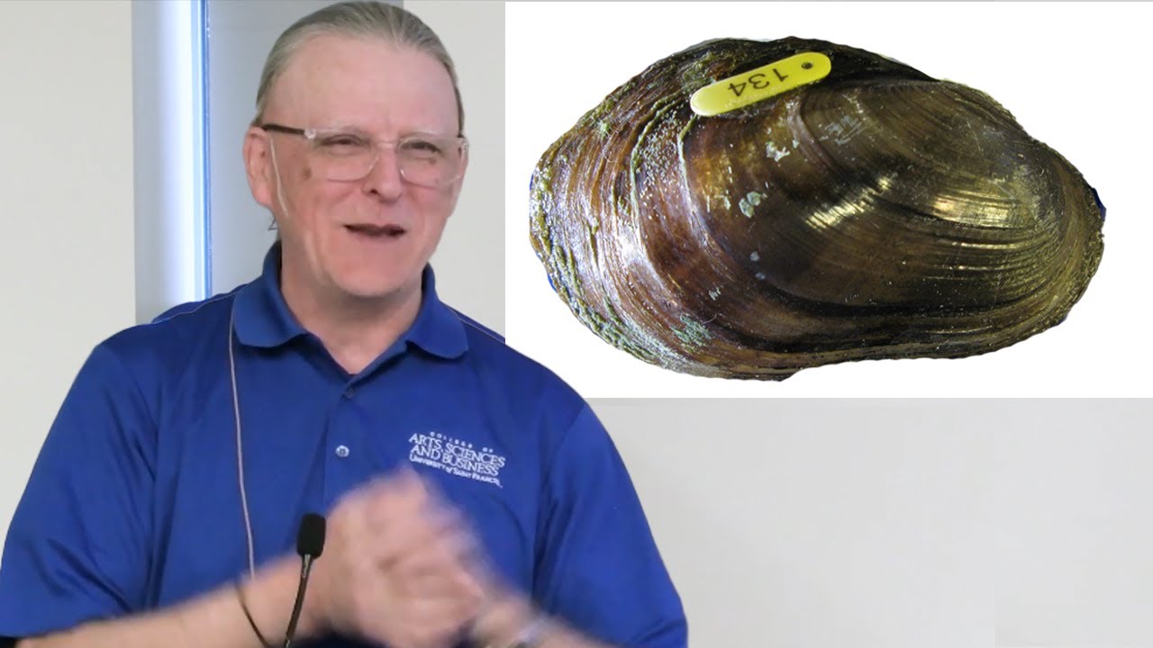 ACPL Presents: USF Lecture Series 31 - Native Mussels of Northeast ...