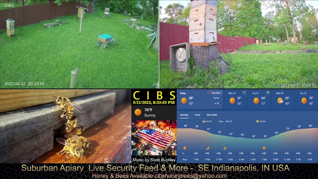 23/5/21 - Loading Bee Hives to Move - Suburban Back Yard Bee Hive ...