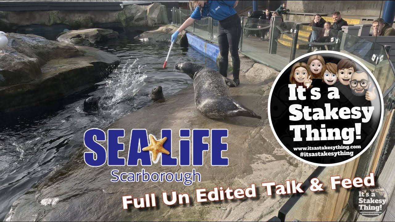 Seal Talk & Feed, Sea Life Scarborough, Full uncut, windy show February ...