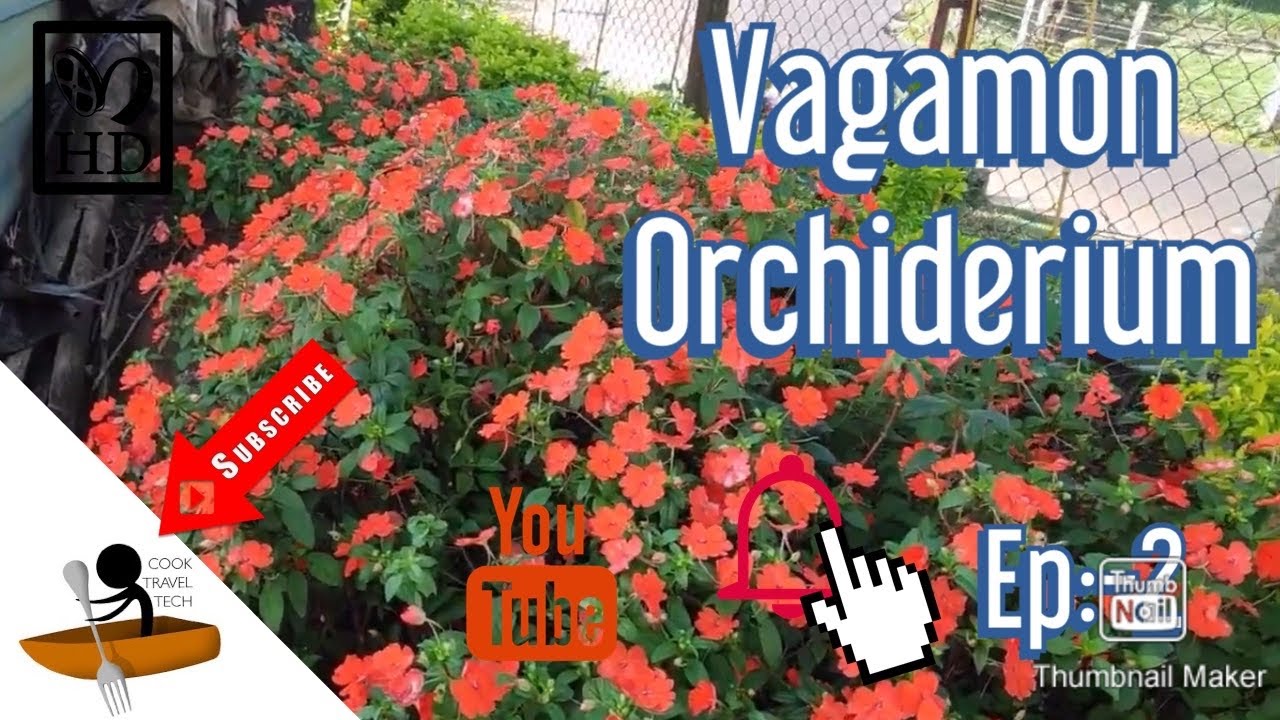 Vagamon Orchidarium | Ep:-2 🌺🍀🌻| By COOK TRAVEL TECH - YouTube