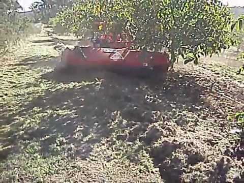 Walnut harvesting - Sweeper - YouTube