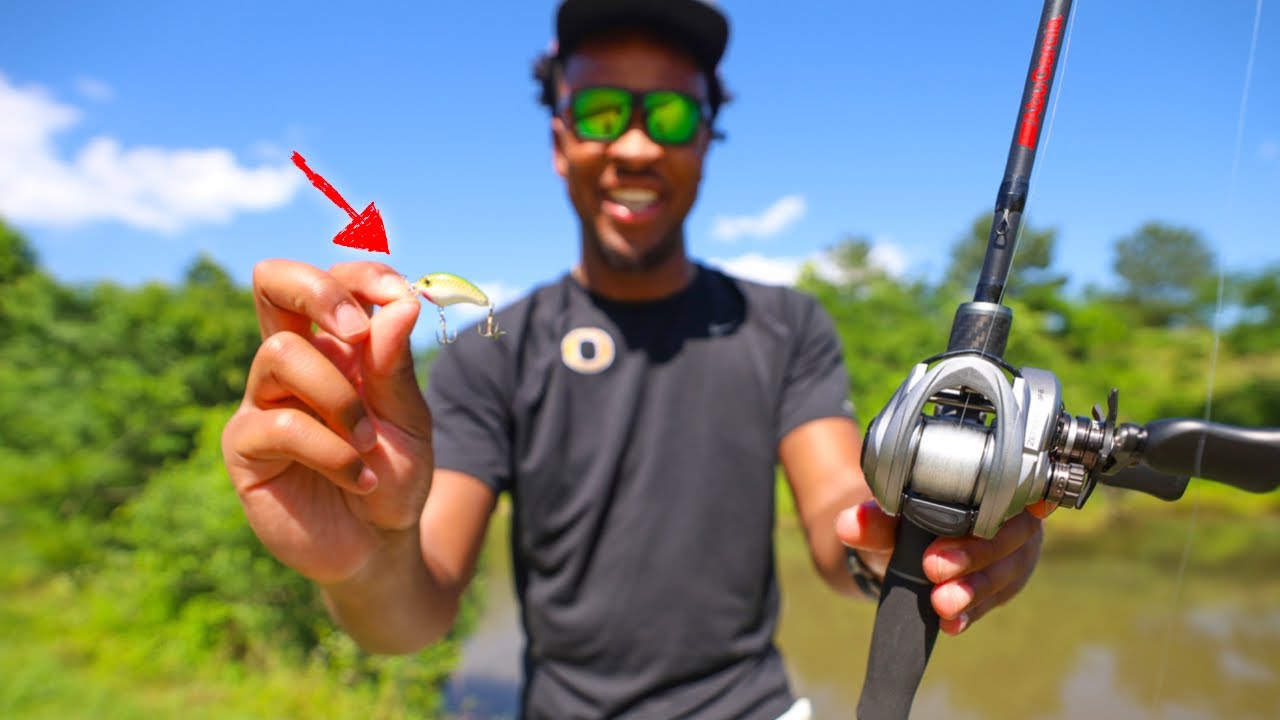 BFS Fishing For BIG BASS in Neighborhood Ponds (Micro Lure Fishing ...