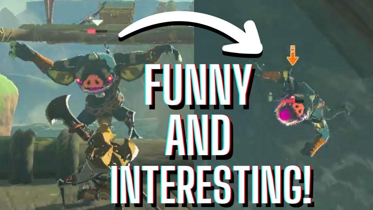 Funny and Interesting BOTW Clips Compilation! - YouTube