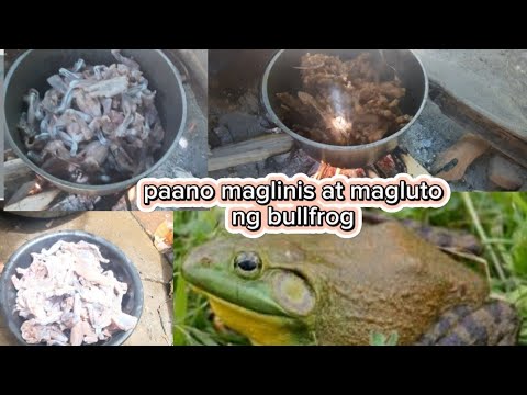 how to clean bullfrog and cook. - YouTube