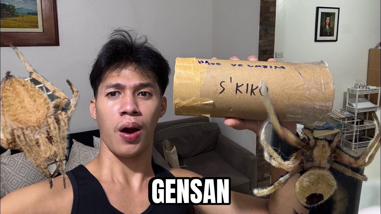 UNBOXING GENSAN SPIDERS (DAMANG) - YouTube