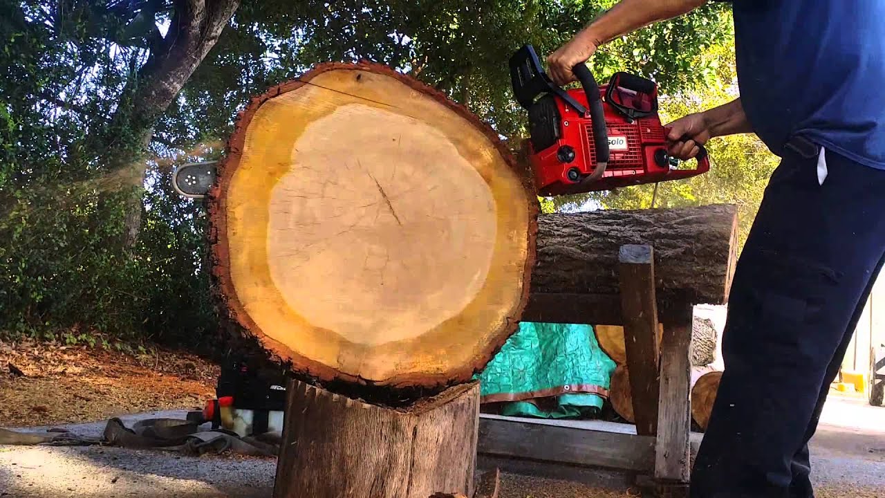 SOLO 694 ported DOLMAR 9010 - YouTube