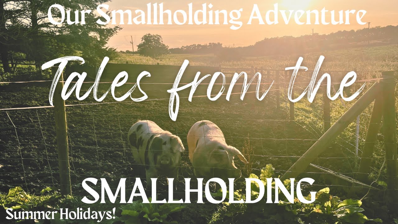 Life on a Smallholding VLOG - The Pigs Leave Tomorrow - YouTube