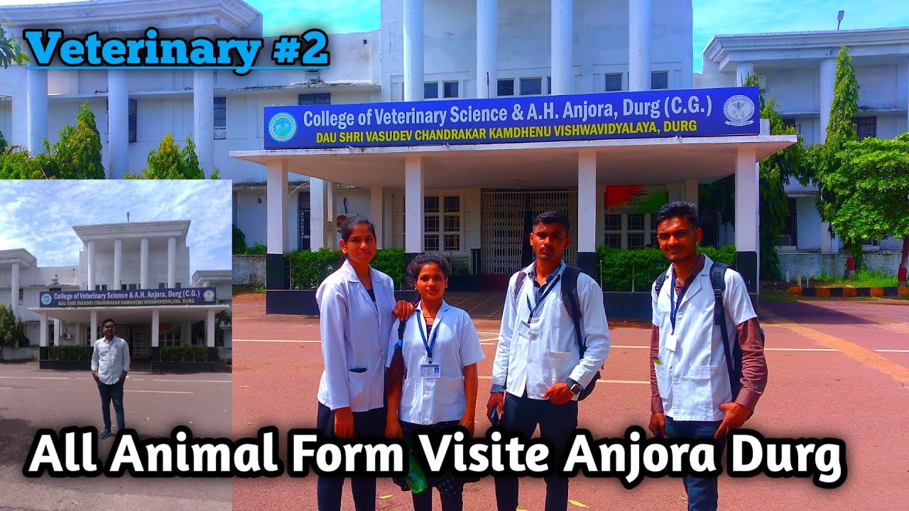 All Animal Form Visite Anjora Durg|| #2Dailyvlog #veterinary#dairyform# ...