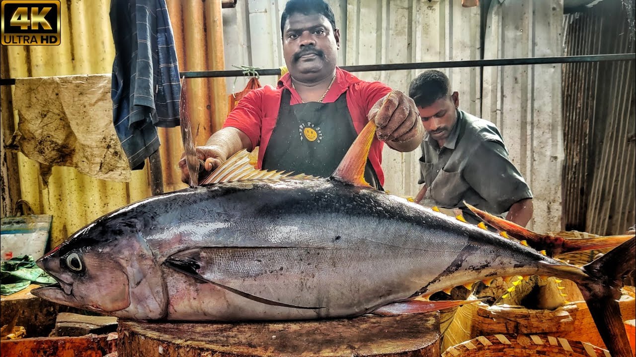 KASIMEDU 🔥 SPEED SELVAM | GIANT YELLOW FIN TUNA FISH CUTTING VIDEO | 4K ...