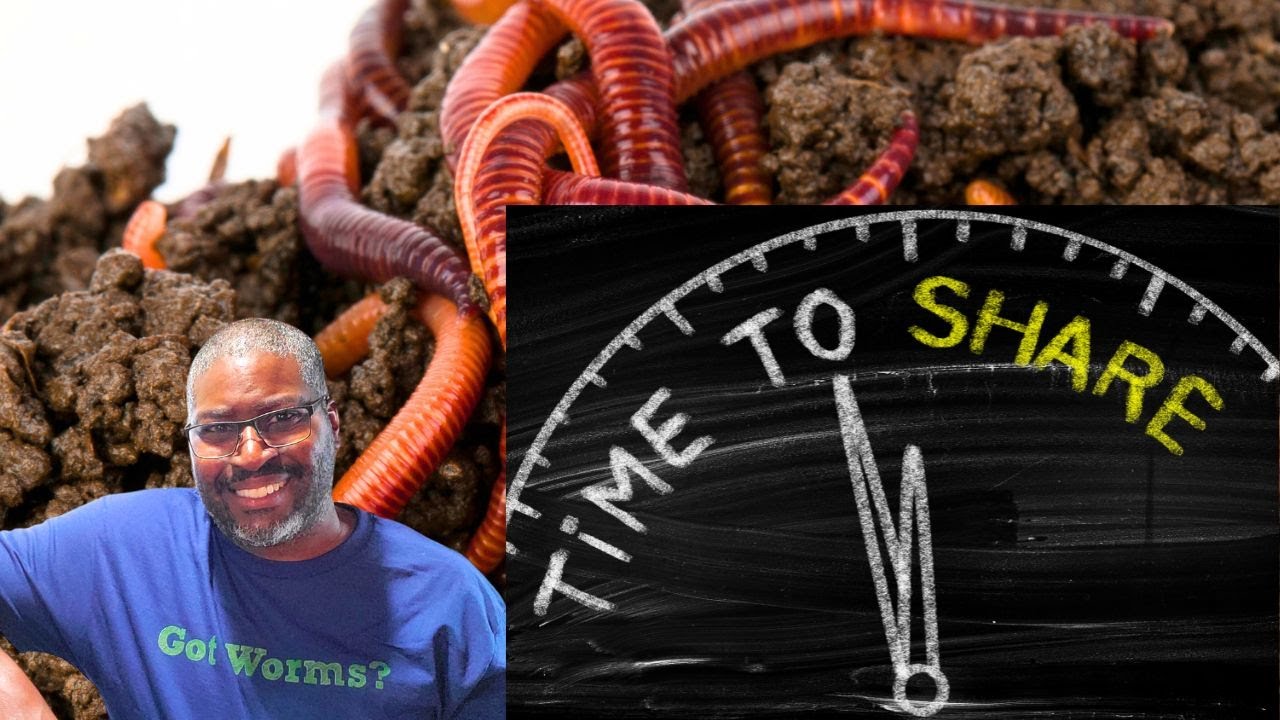 Do Worm Farms Make Money? - YouTube