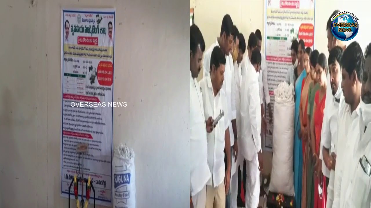 Chevella MLA Kale Yadhaiah Inaugurates Cotton Purchasing Centre at ...