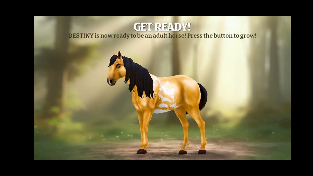 Star equestrian foal naming and growing! - YouTube