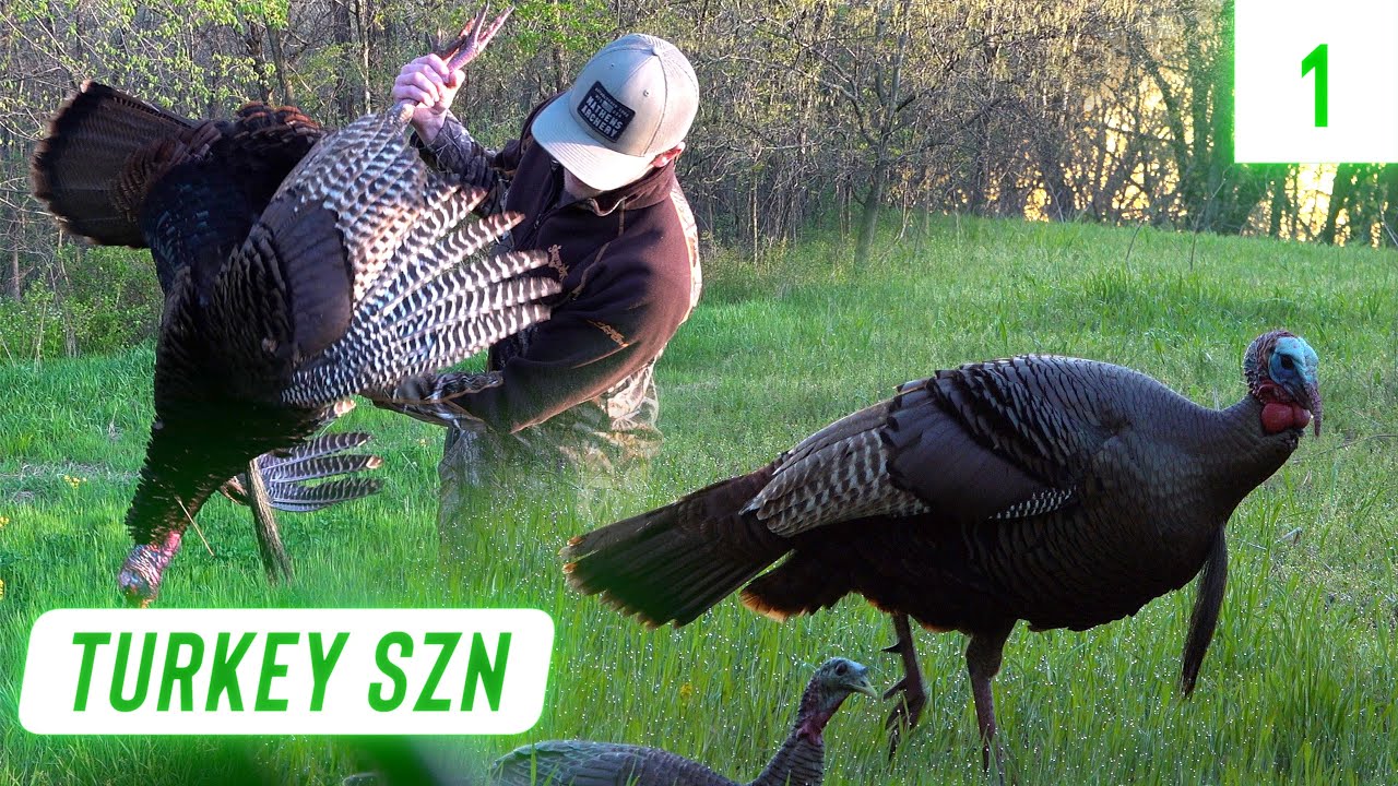 Early Morning GOBBLER in IOWA | Late Season Turkey Hunting - YouTube