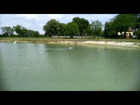 Kontejnerová loď Sydney Staar - YouTube