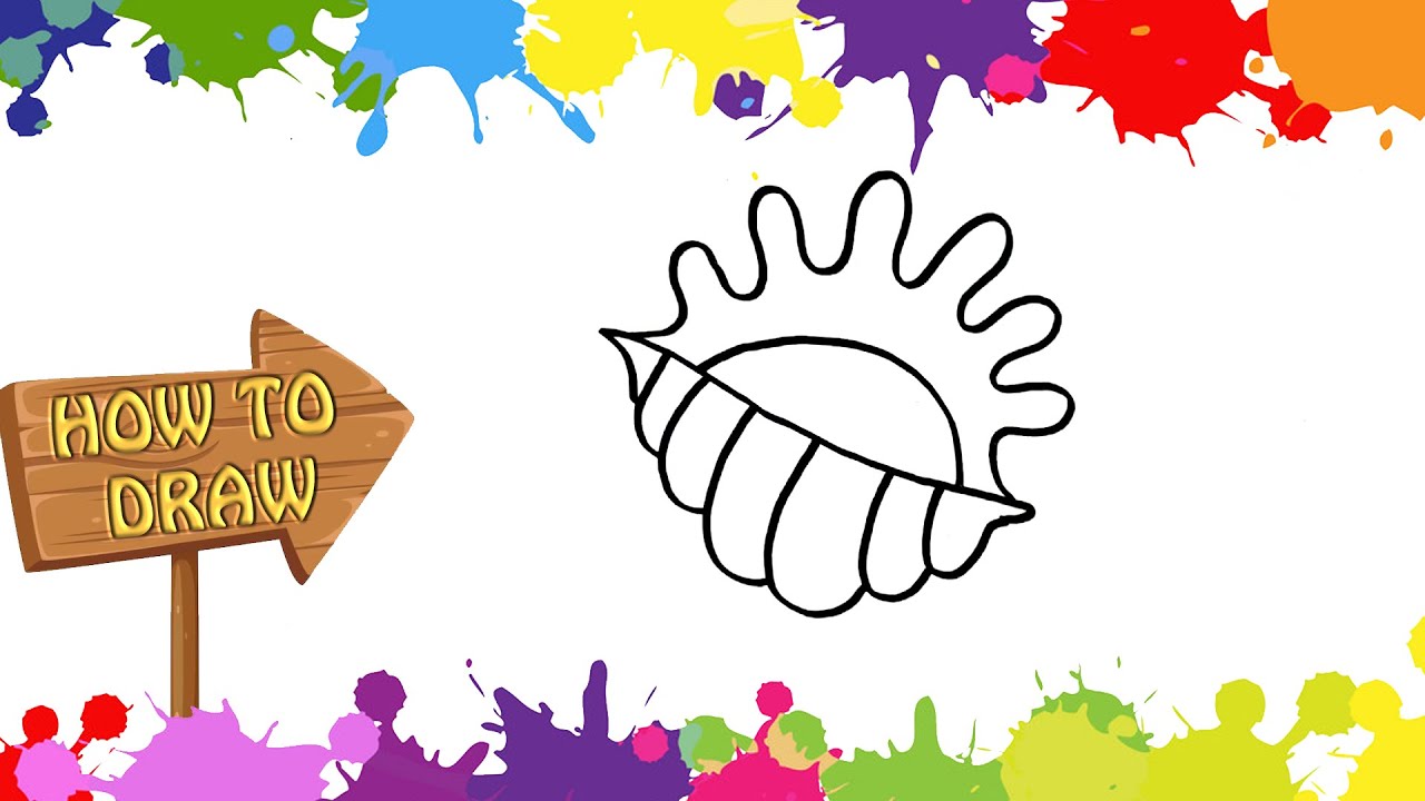 Seashell pencil drawing | How to draw a sea shell | How to draw a ...
