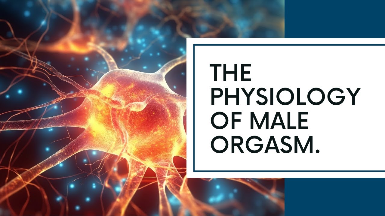 The Physiology of Male Orgasm? - YouTube