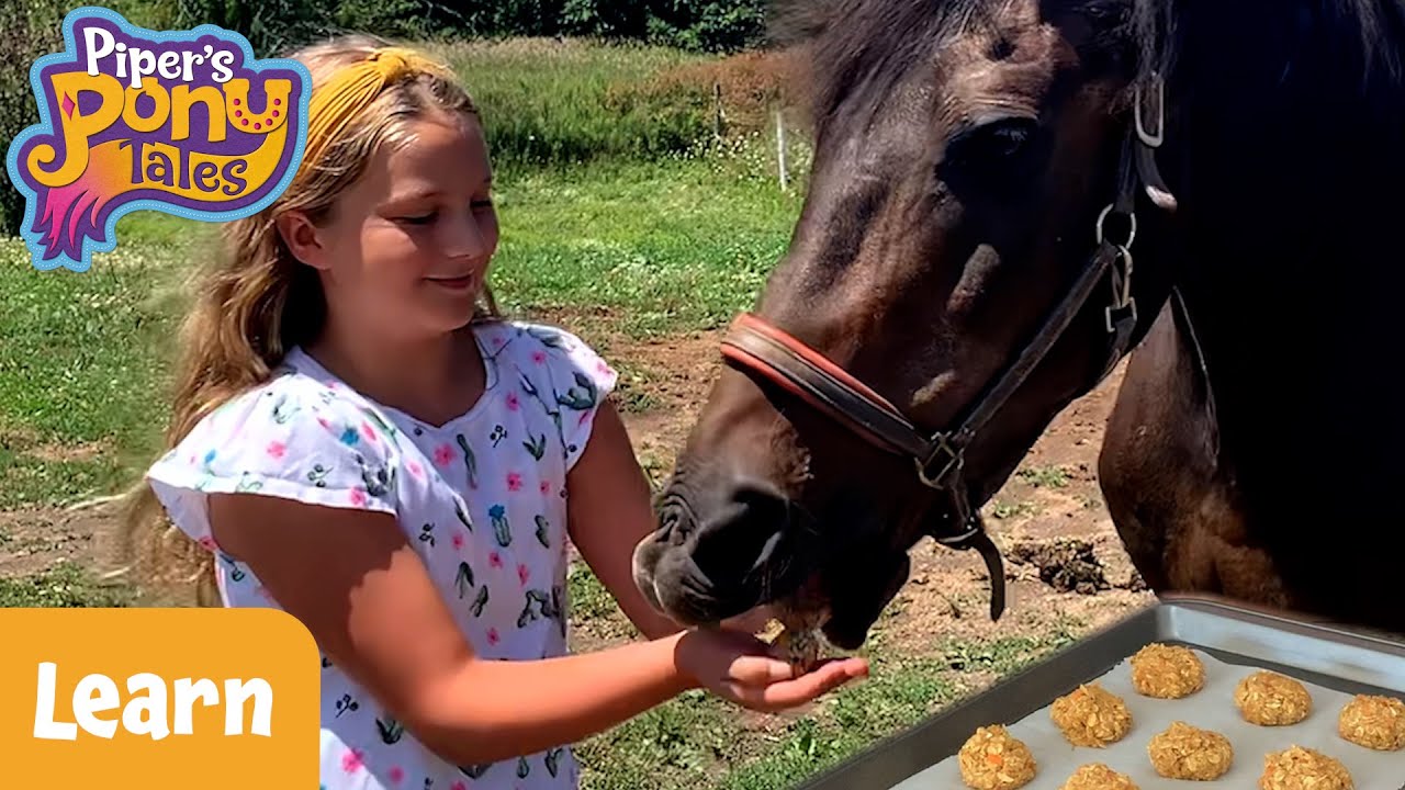 Horse Treats! How To Make Yummy Snacks for Your Pony - YouTube