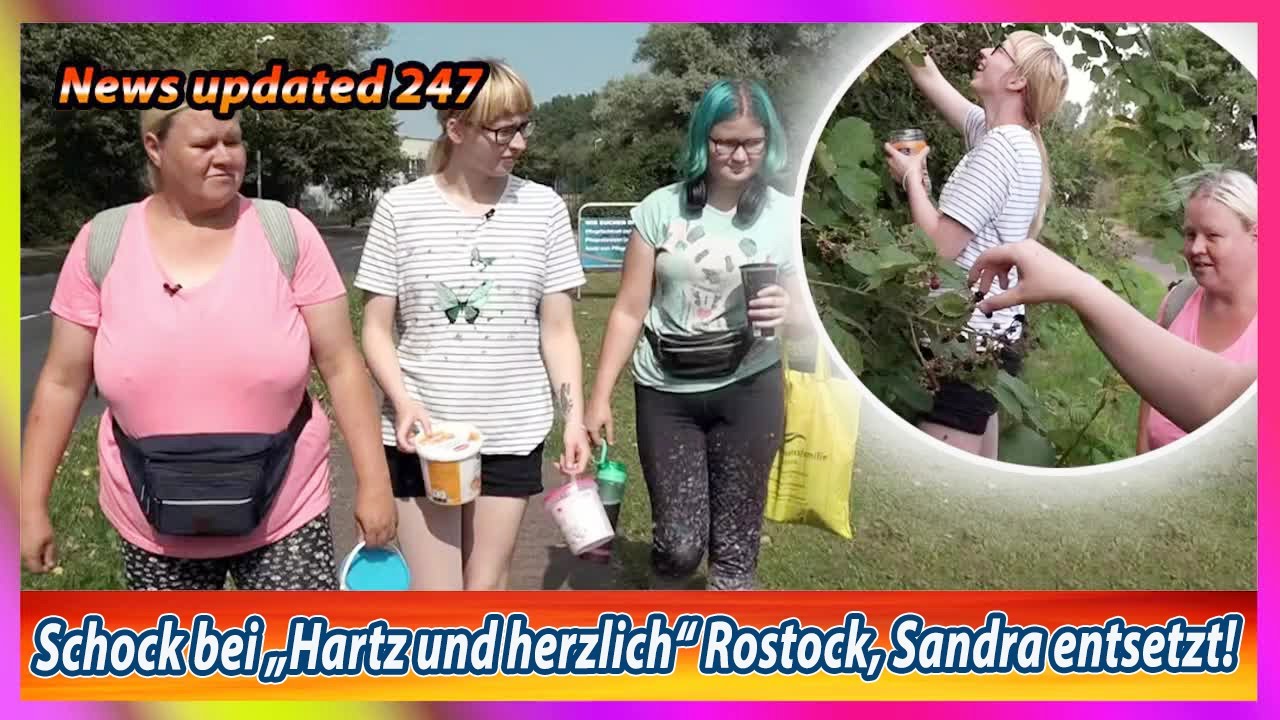 Einfach widerlich Schock bei „Hartz und herzlich“ Rostock, Sandra ...