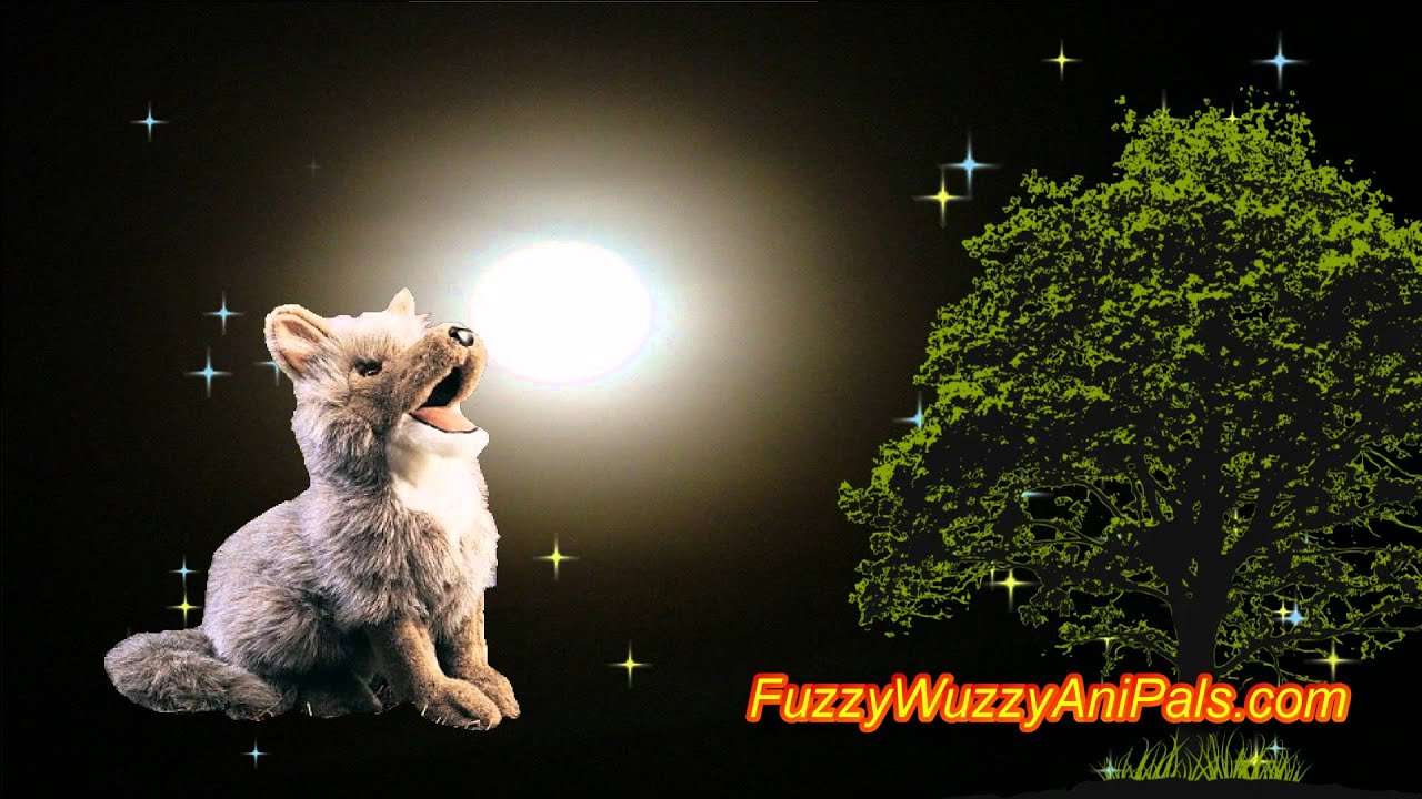 Plush Coyote Puppet By Folkmanis - YouTube