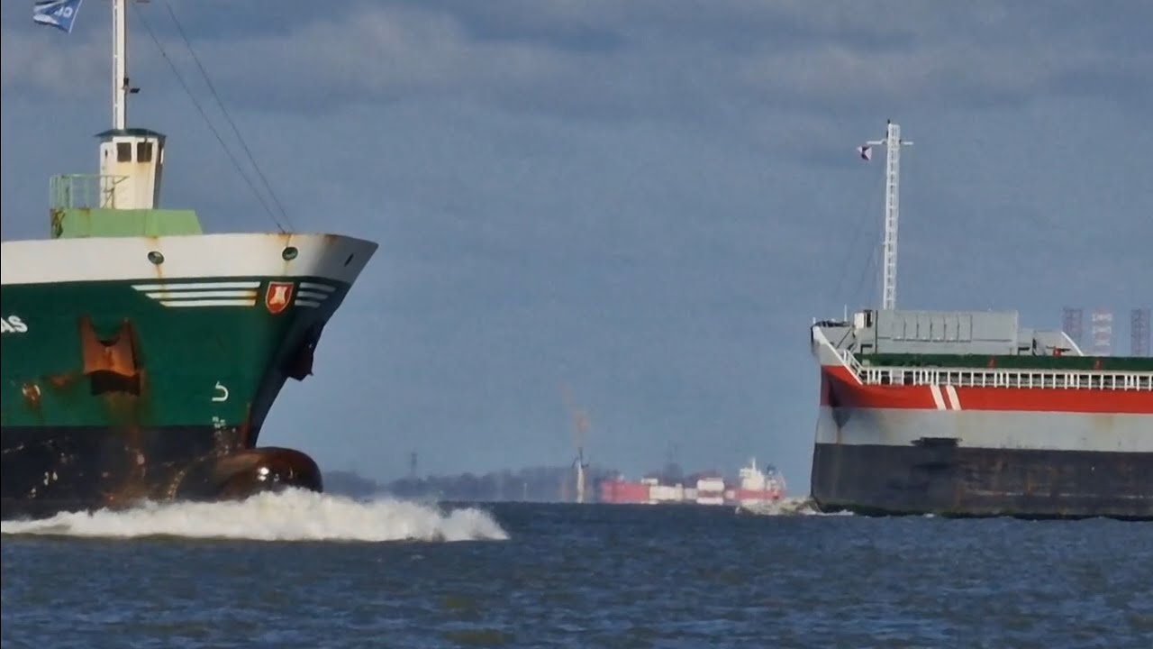 IMPRESSIVE CARGO SHIP// SHIPSPOTTING in NETHERLANDS// WATERWAY February ...