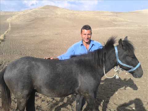 Hüseyin Calıskan - Kursunlara Gelesin