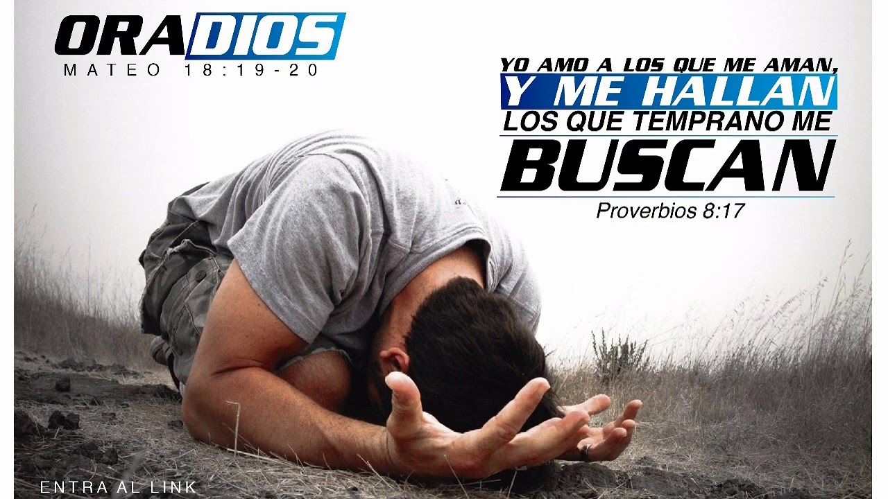 PROVERBIOS 8:17 - YouTube