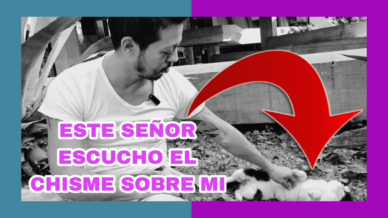 ¿A qué no te imaginas que así llegué a la MÚSICA? |CHISME| - YouTube