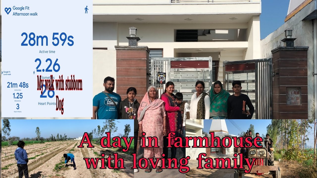 A day full of fun at farmhouse - YouTube