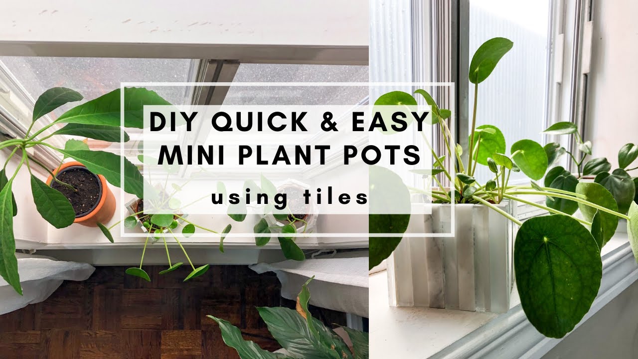 DIY Mini Plant Pots in Minutes! - YouTube
