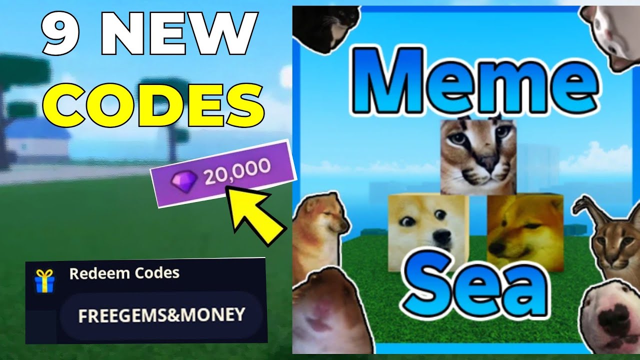 ALL WORKING CODES FOR MEME SEA IN 2024! (*SECRET CODE!*) - YouTube