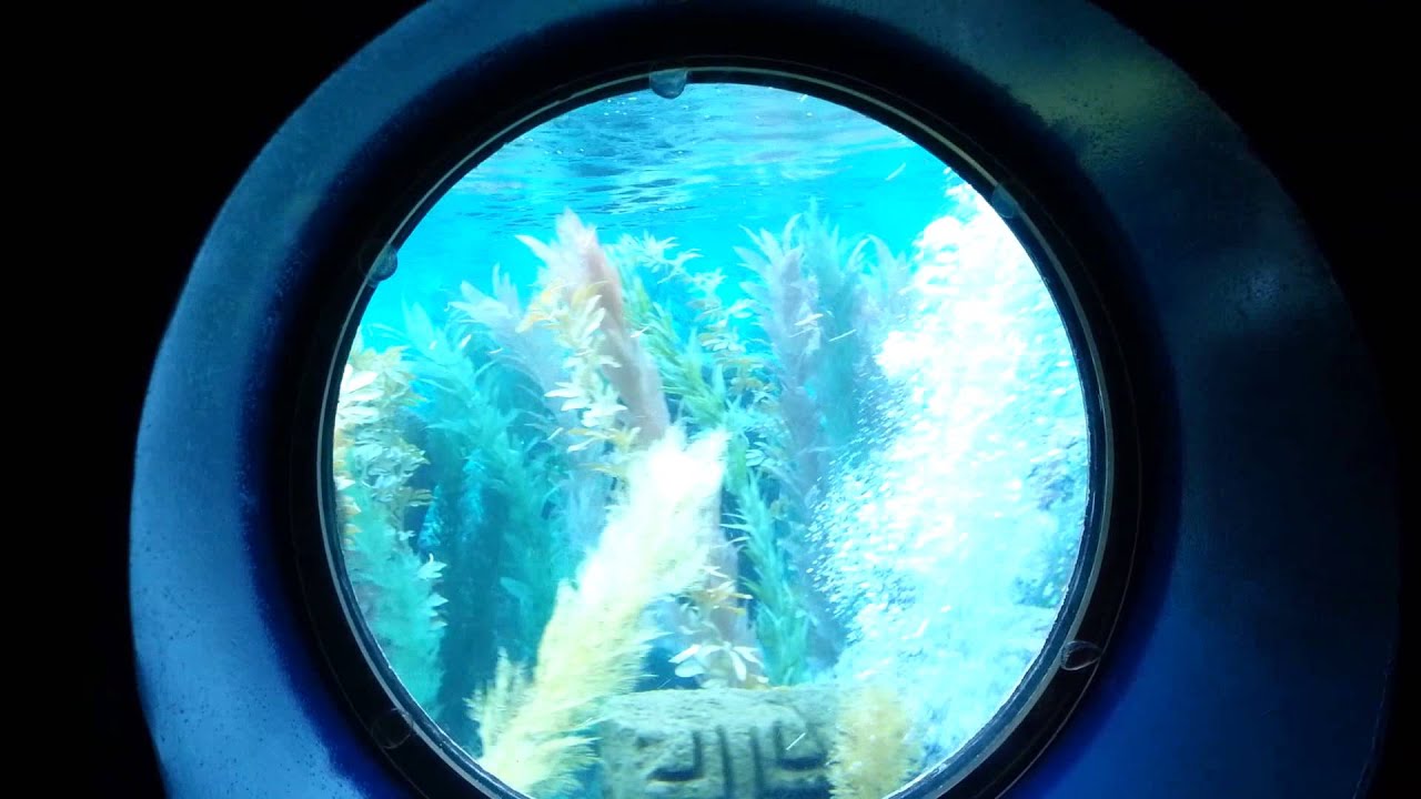 FINDING NEMO at Disney Land California - YouTube