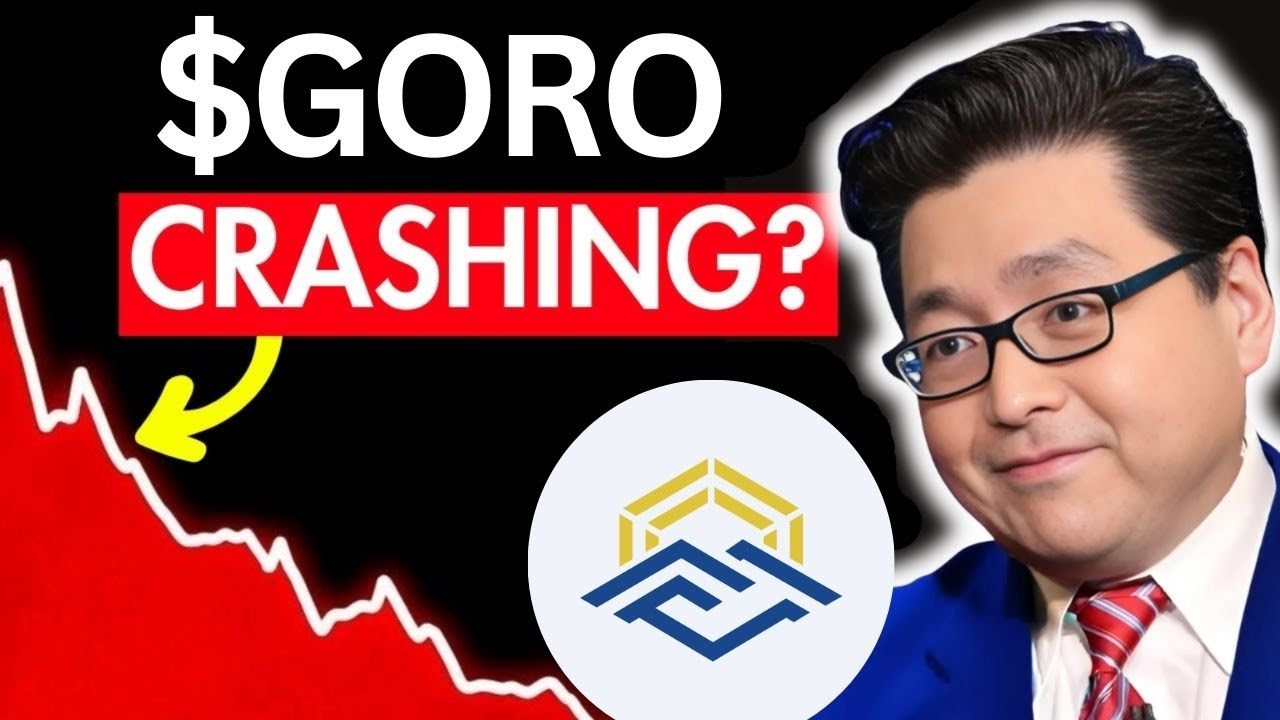GORO Stock CRASHING Next!? (Thank Me Later Bro) Gold Resource ...