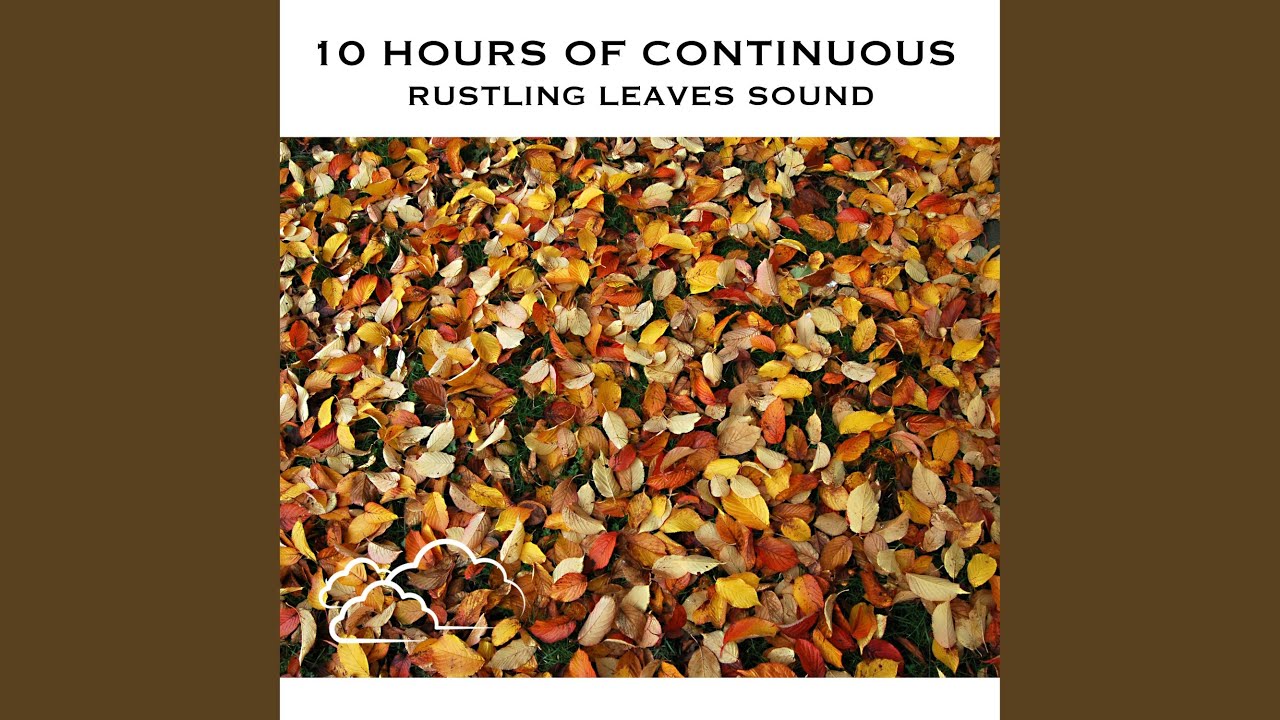 Rustling Leaves Sound Pt 73 Continuous No Gaps YouTube Rustling Leaves Sound Pt 73 Continuous No Gaps YouTube
