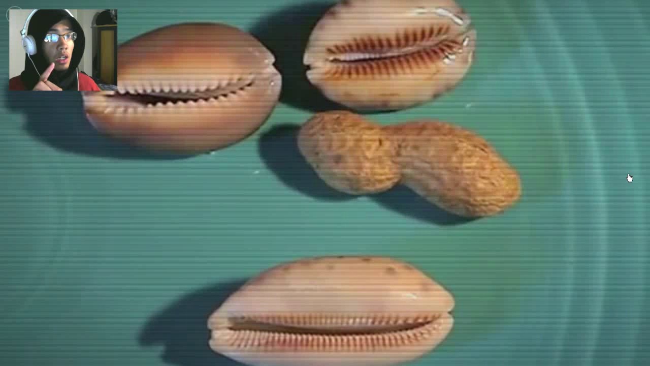 Exploring the Internet | Neave Interactive - YouTube