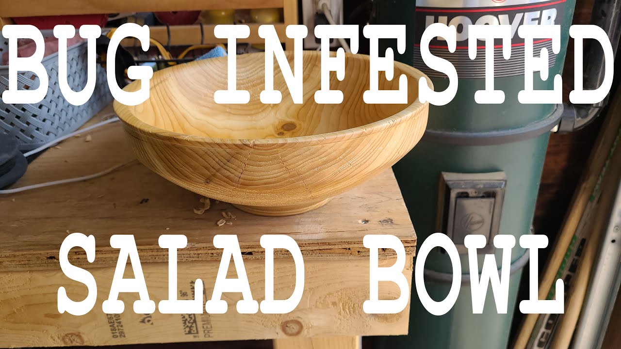 Bug Infested Salad Bowl - YouTube