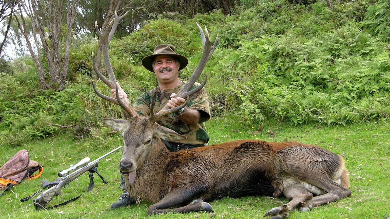 Hunting Red deer in the roar in New Zealand part 3(Fiordland hunt ...