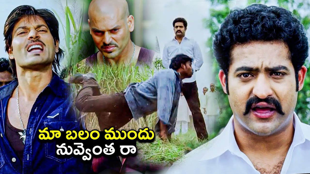 Jr. NTR Ultimate Action Fight Scene | Trisha | Karthika | Ali | Nassar ...