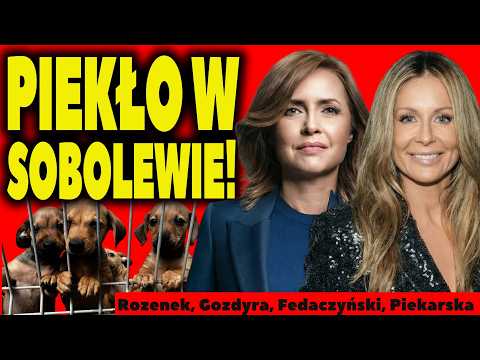 ROZENEK, GOZDYRA - SCHRONISKO SOBOLEWO – SYSTEMOWA PATOLOGIA