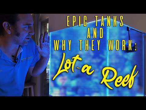 [Epic] Tanks and why they work: Episode #8 - Lot-a Reef - YouTube