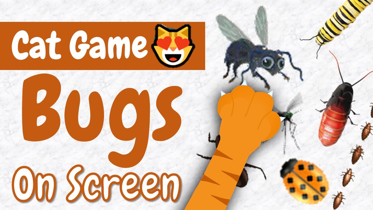 Bug on screen for Cat! - Cat Game Video for Cats to Watch! - YouTube