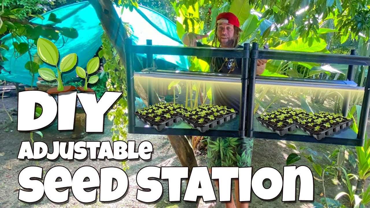 Garden Project: Indoor Seed Station for Rainy Season Growing - YouTube