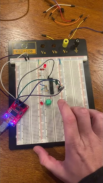 Atmega328 Microcontroller Blink Led Example - YouTube